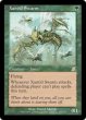 【英語版】《ザンティッドの大群/Xantid Swarm》[SCG] - カードショップBIGRED