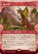 【ショーケース】【日本語版】《雇われ爪/Hired Claw》[BLB] - カードショップBIGRED